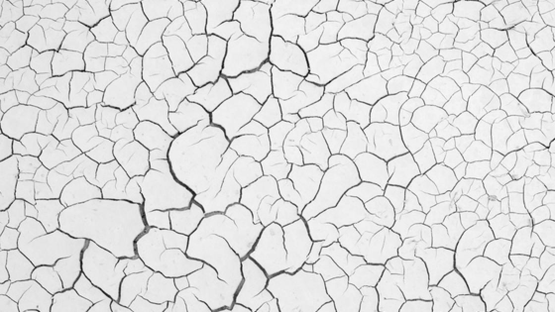 "Thyroid Skin" SOS | Healthful Elements